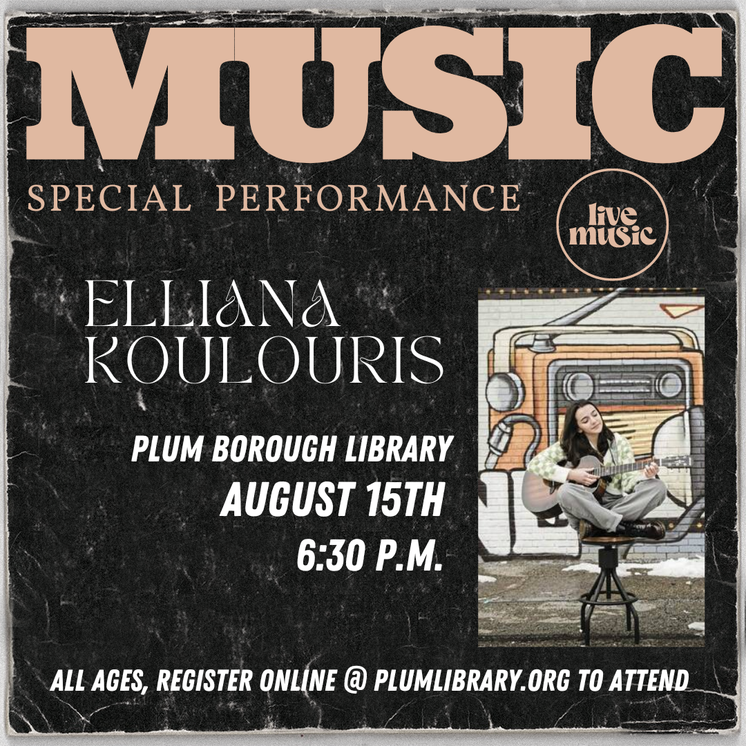 Music Performance | Plum Borough Community Library