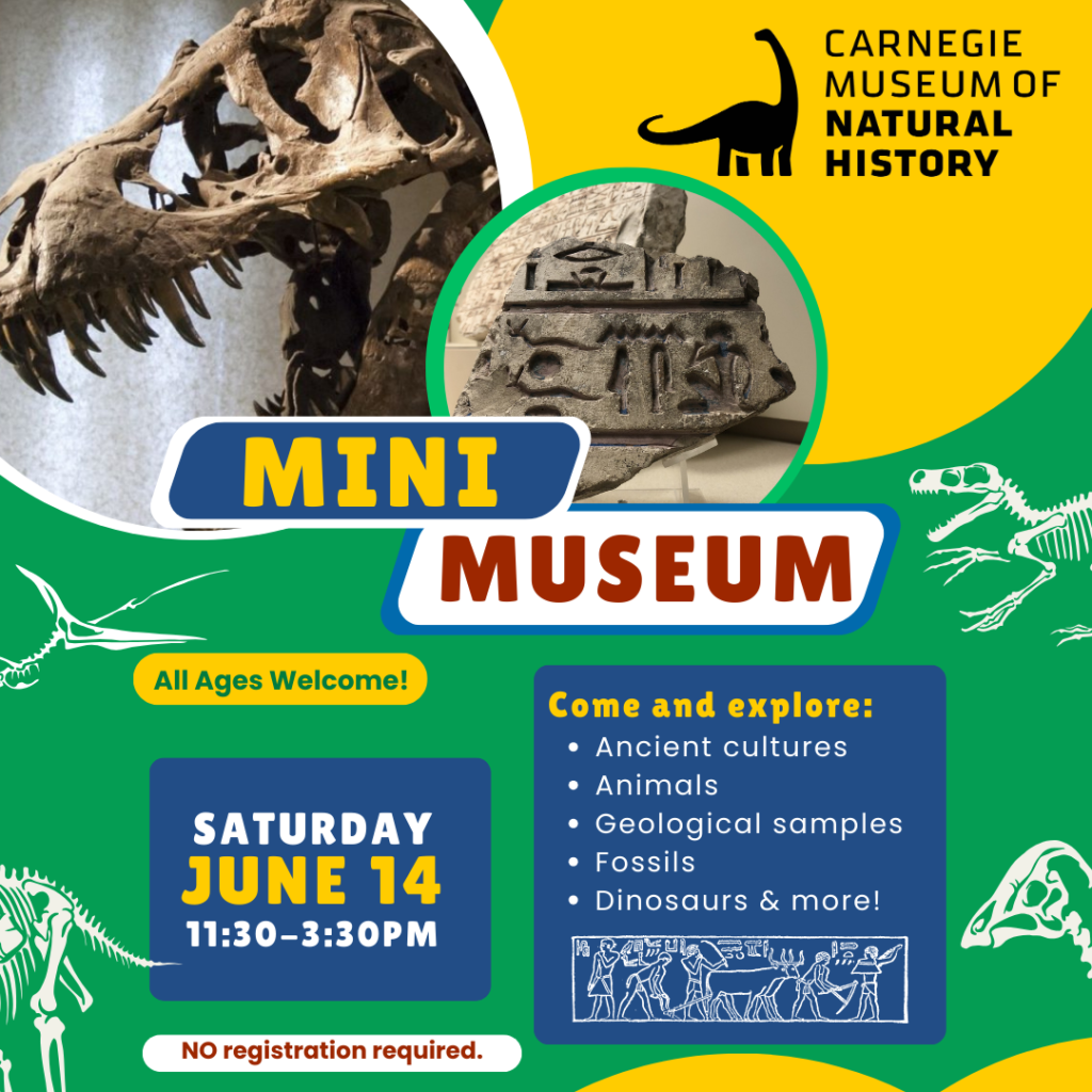 Plum Borough Community Library